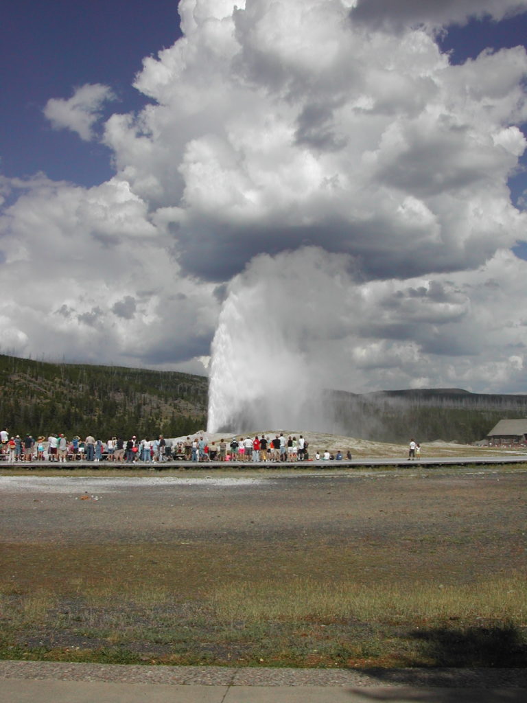 A Geyser-Gazer Moment - Janet S Fox