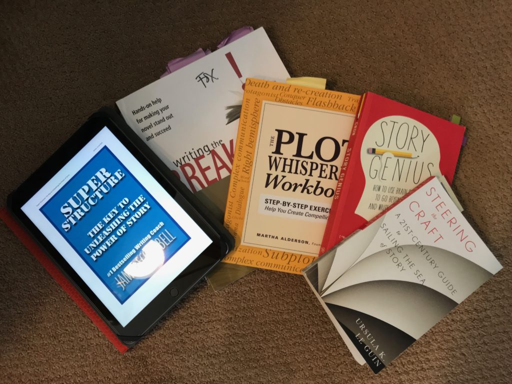 Writing Craft Books For Your Gift List - Janet S Fox