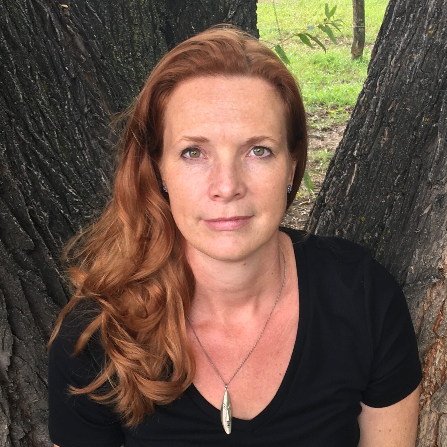 Party! DAYBREAK ON RAVEN ISLAND! - Janet S Fox