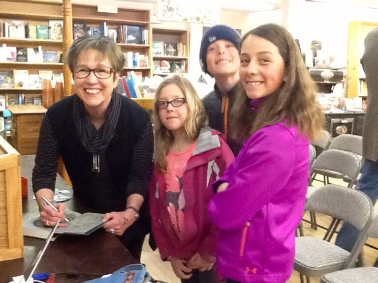 About Janet S Fox, Big Picture Story Coach